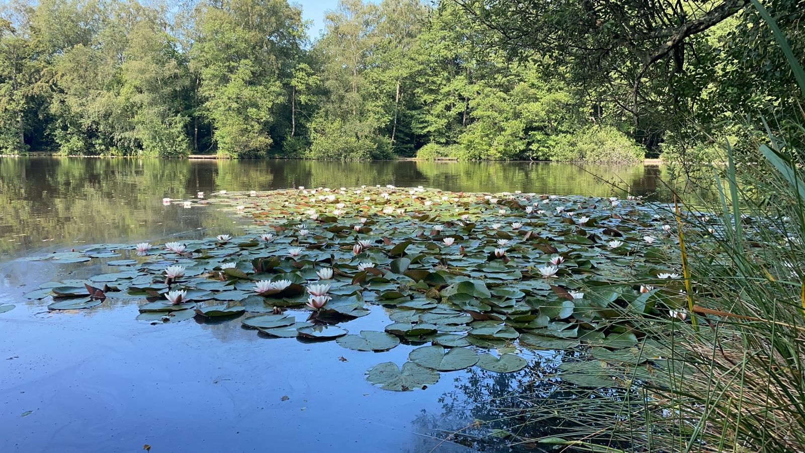 Home - Slaugham Angling Club
